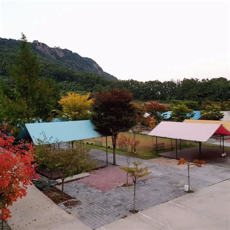 가을에 접어 들며 술이란 것을 배우면서 느낌점이 있다면 세월이 더 해 갈 수록 맛 뿐만 아니라 조화를 잘이루면서