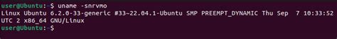 how to use the uname command on linux