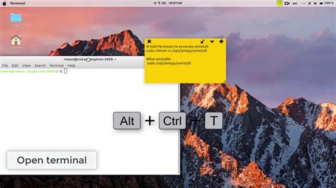 remove xampp from ubuntu youtube
