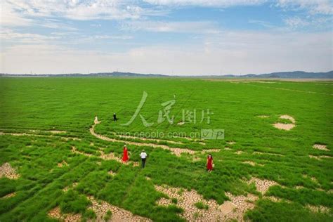 江西九江鄱阳湖提前进入极枯水期 湖床变草洲 人民图片网