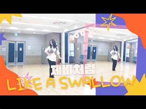 Like a Swallow Line Dance 제비처럼 쉽고 신나게 딱좋은 초급 YouTube