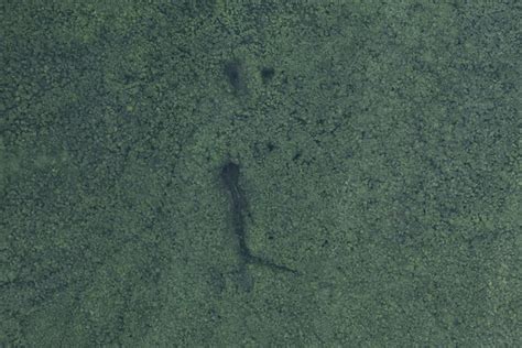 完成南郑镇巴天坑群地质遗迹调查无人机低空摄影工作 新闻中心 西安新华测绘有限公司