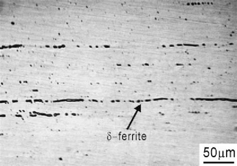 Optical Microstructure Of Sus 304l Ss Treated At 1050 C For 80 Minutes