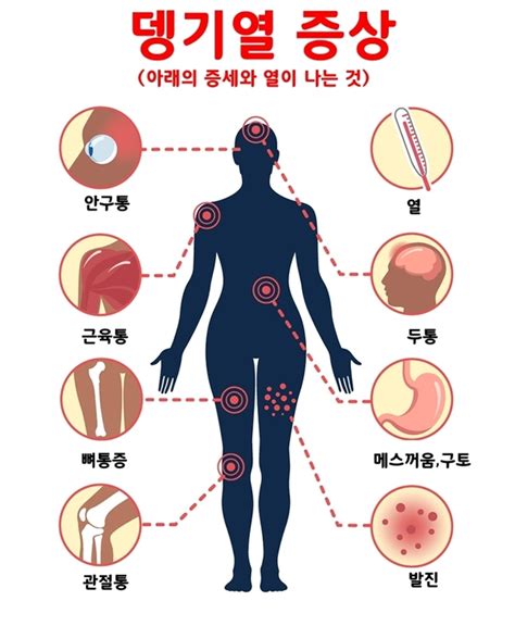 뎅기열 환자 특히 남부 지역에서 계속 증가