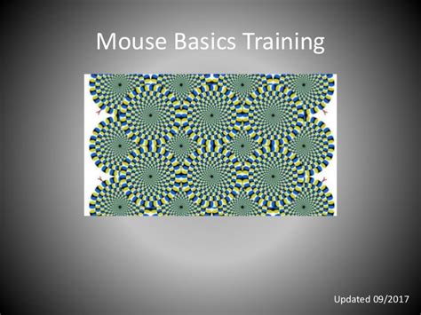 Mouse Basics