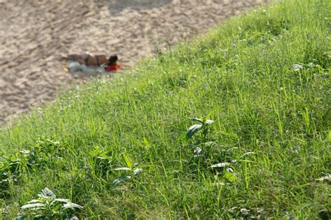 People Are Seen On Paciencia Beach Having Fun And Sunbathing In The
