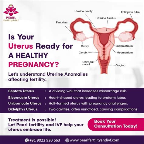 Pearl Fertility Ivf On Linkedin Pearlivf Ivfjourney