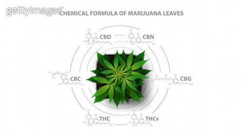 White Poster With Chemical Formulas Of Natural Cannabinoids With