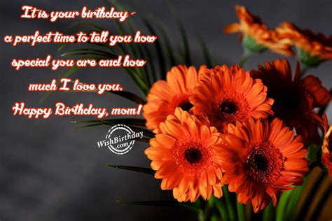 Birthday Wishes For Step Mother Birthday Images Pictures