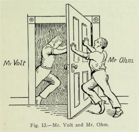 Nemfrog Scientific Illustration Fig Sketches