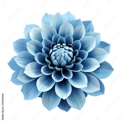 Cargo Container On Tranblue Lotus On Transparent Background Png Format Sparent Background Png