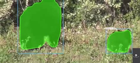 develop custom object detection segmentation and classification model