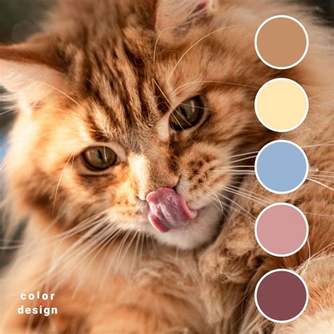 Сочетание цветов голубой коричневый розовый кремовый цвета Сочетание цветов Палитра цветов