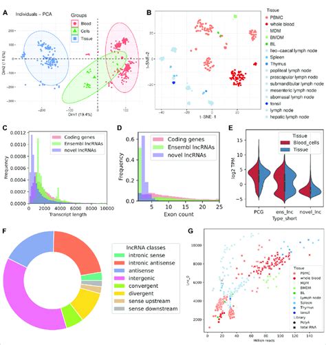 Characteristics Of The Dataset And The Identification Of LncRNAs