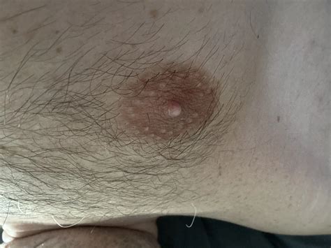 Lick My Nipples 2 Pics Xhamster