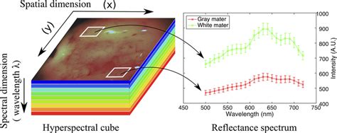 Spectral Signatures Generation For The Specific Tissue Type 69 Download Scientific Diagram