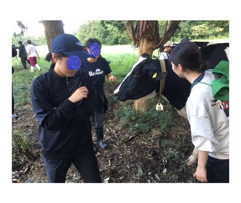 家庭科教職コースの4年生 教職実践演習～食の生産実習2～ 女子栄養大学栄養科学専攻ブログ「栄養科学専攻は今 」