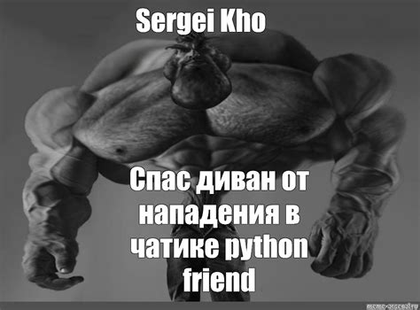 Meme Sergei Kho Спас диван от нападения в чатике Python Friend All