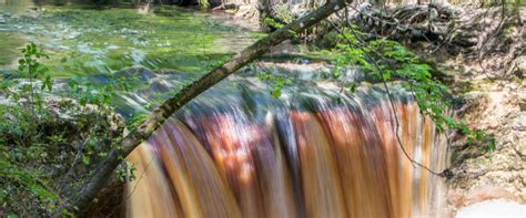 Exploring The Natural Beauty Of Waterfalls Near Panama City Florida