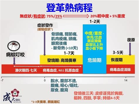 デング熱が南部から中部に広がり、感染者数が過去10年の最多に ニュース Rti 台湾国際放送