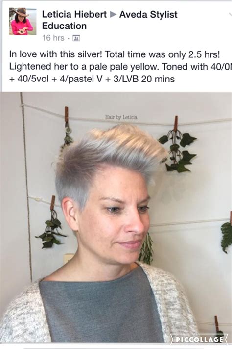 Color Inspo Color Inspiration Aveda Hair Color Matrix Color Hair