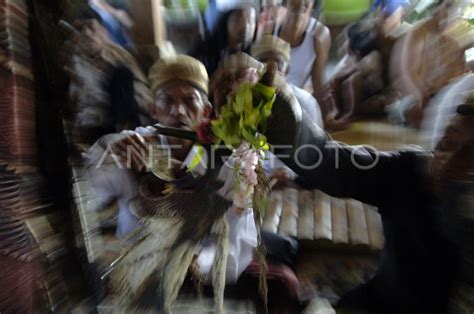 WAYANG PUSAKA MBAH GANDRUNG ANTARA Foto
