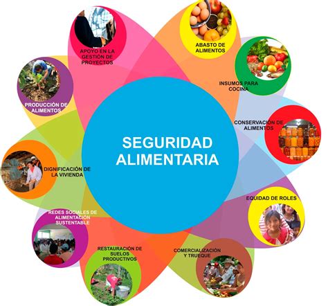 Seguridad Alimentaria Mapa Mental Estrategias De Apre Vrogue Co