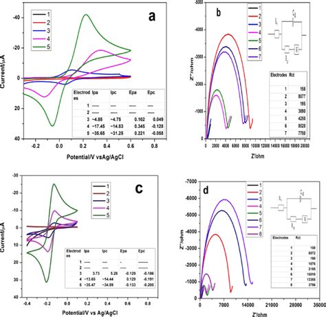 A Cyclic Voltammetry Was Recorded At The Following Bare Gce Download Scientific Diagram