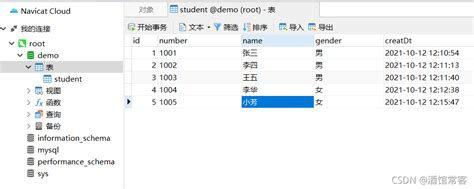 navicat的使用 navicat链接后怎么执行 csdn博客