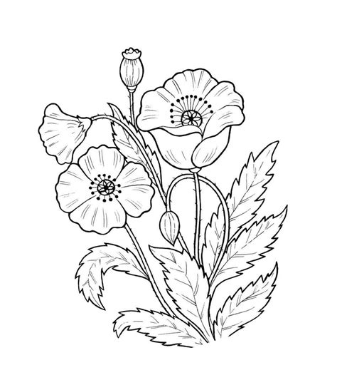 Dibujos Para Colorear De Flores
