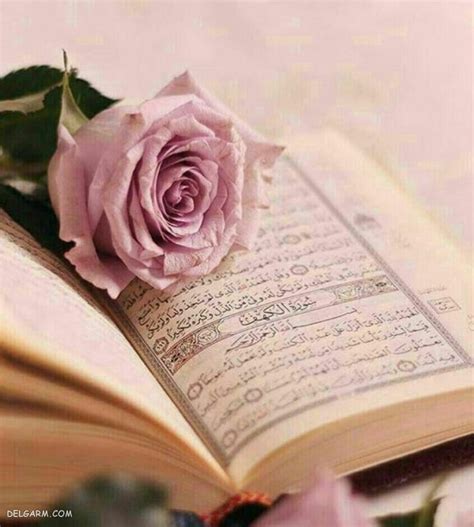 25 عکس قرآن و گل باکیفیت برای پروفایل و اینستاگرام