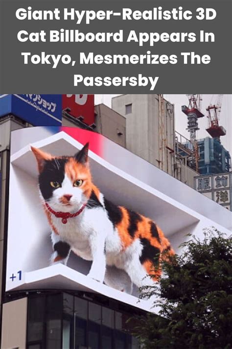 Giant Hyper Realistic 3d Cat Billboard Appears In Tokyo Mesmerizes The