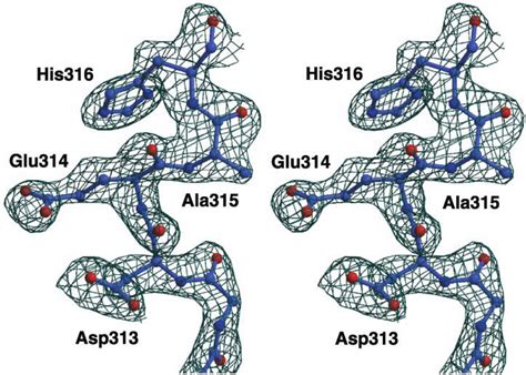 Stereo View Showing The Experimental Electron Density Map For A Region Download Scientific