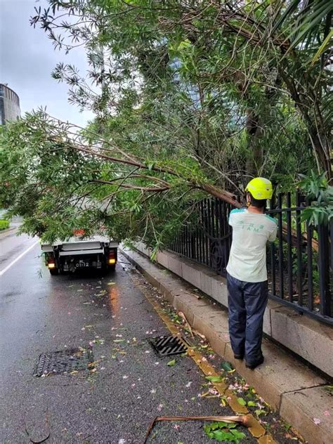 市政署正全力跟进台风的善后工作 清理垃圾及塌树 检查渠道正常运作 澳门特别行政区政府入口网站