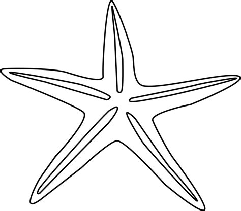 Free Echinoderms Cliparts Download Free Echinoderms Cliparts Png