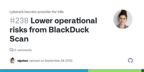 Lower Operational Risks From Blackduck Scan · Issue 238 · Cyberarksecrets Provider For K8s
