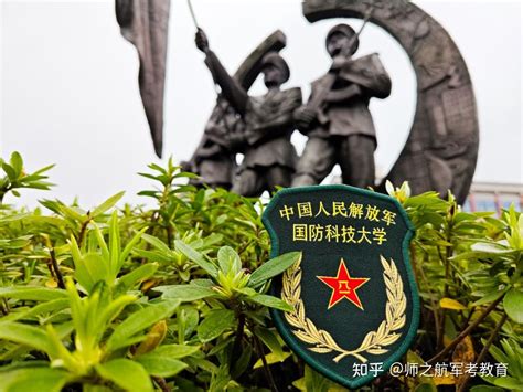 在部队考国防科大，需要多少分才能上岸？
