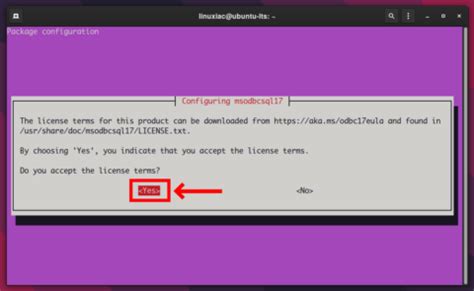 How To Install SQL Server And SQL Server CLI Tools On Ubuntu