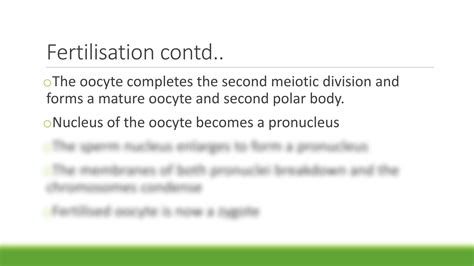 Solution Embryology Of The Female Reproductive System Studypool