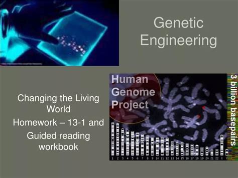 PPT Genetic Engineering PowerPoint Presentation Free Download ID 1818847