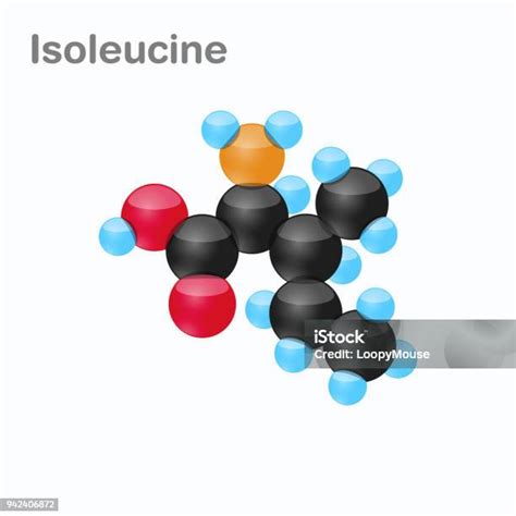 이소류신 Ile 단백질의 생 합성에 사용 되는 아미노산의 분자 0명에 대한 스톡 벡터 아트 및 기타 이미지 0명 고기 과학 Istock