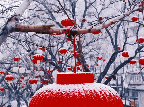 明日降温！石景山将再迎飞雪——气温雪花雨雪