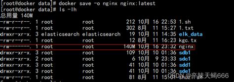 Docker容器 镜像、容器操作docker启动容器 Csdn博客