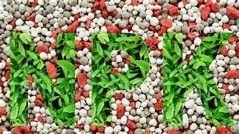 Forecast And Analysis On China N P K Fertilizer Market Of 2016