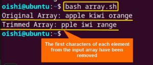How To Remove First Character From Bash String Methods LinuxSimply