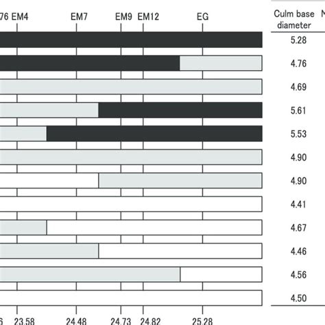 Agronomic Traits In Recombinant Plants With Their Respective Genotypes