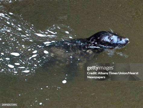 Champlain Canal Photos And Premium High Res Pictures Getty Images