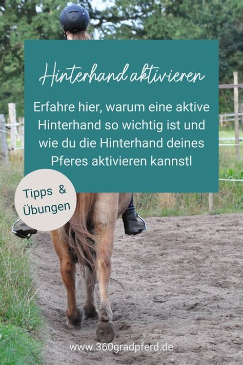 Die Hinterhand Aktivieren So Klappt Es Bestimmt Artofit