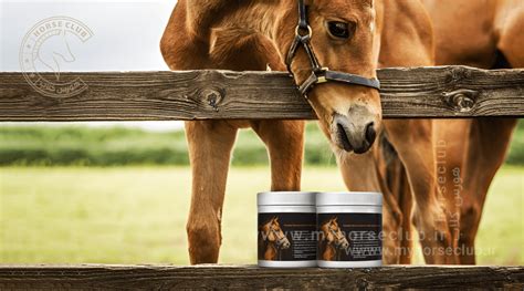 مکمل های غذایی کره اسب هورس کلاب مشاور تخصصی اسب