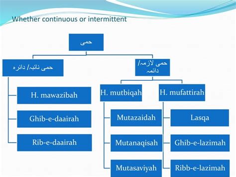 Humma Clasiification Ppt